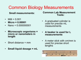 Benchmark 1 study guide | PPT | Chemistry | Science