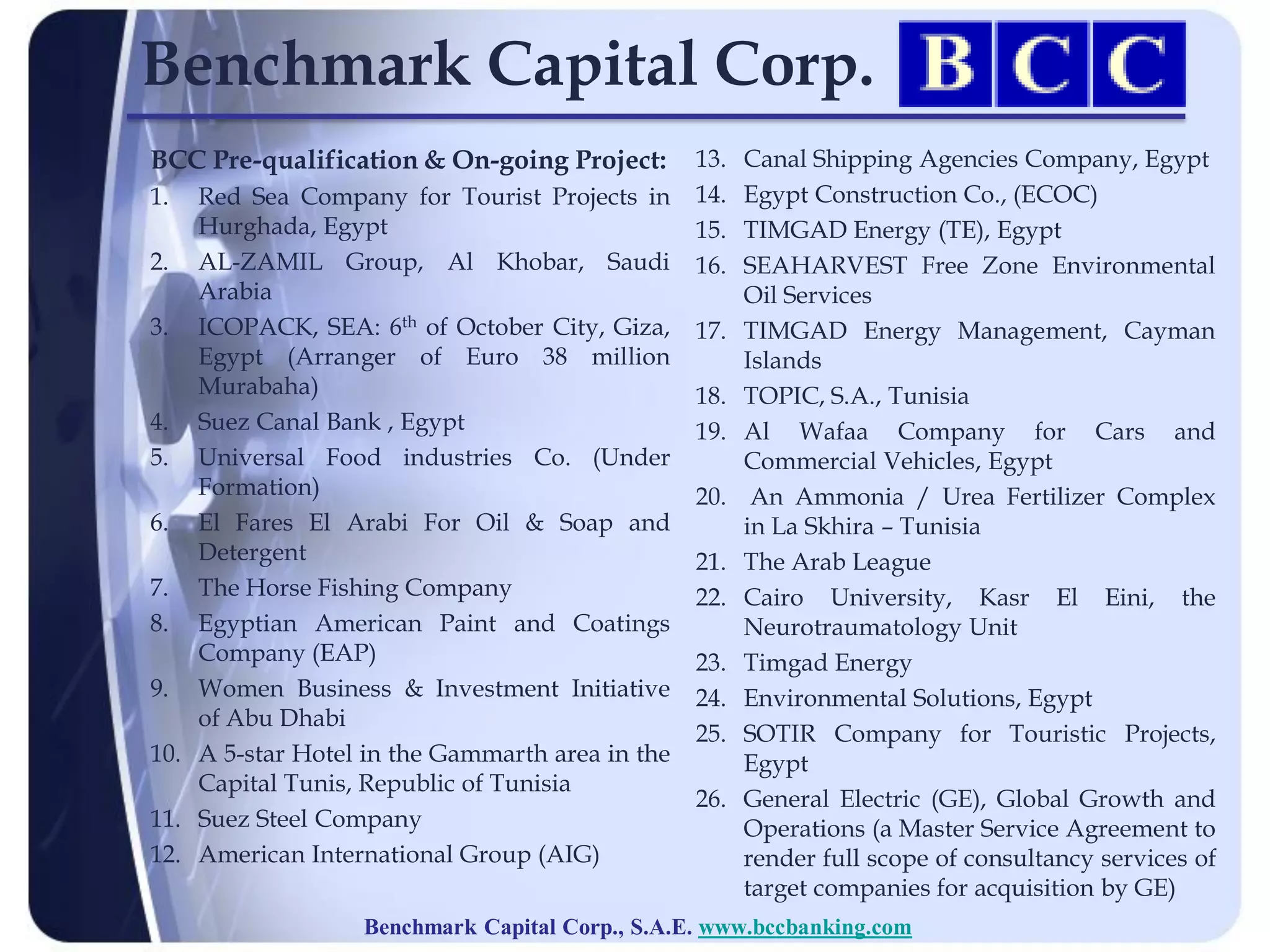 Benchmark Group Of Companies Business Profiles | PDF