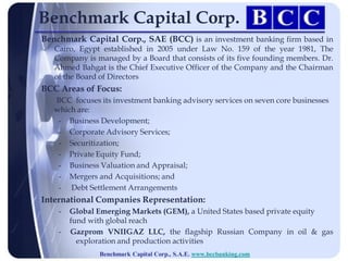 Benchmark Group Of Companies Business Profiles | PPT