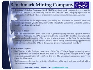 Benchmark Group Of Companies Business Profiles | PDF