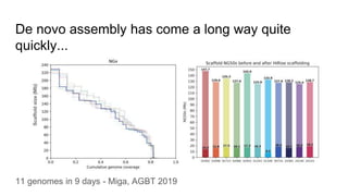 Benchmarking genome assemblies benedict paten | PPTX