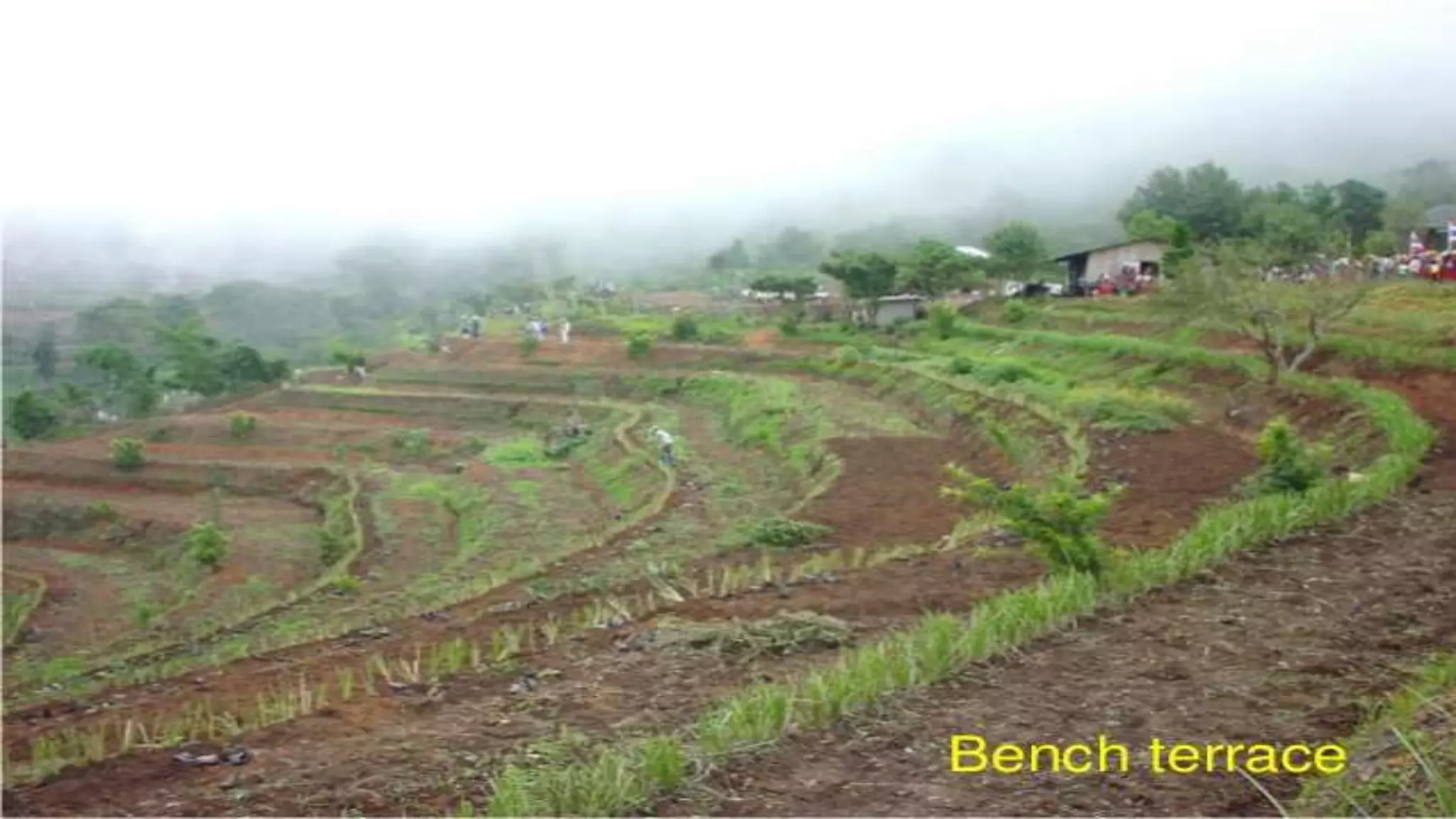 Bench terracing | PPTX