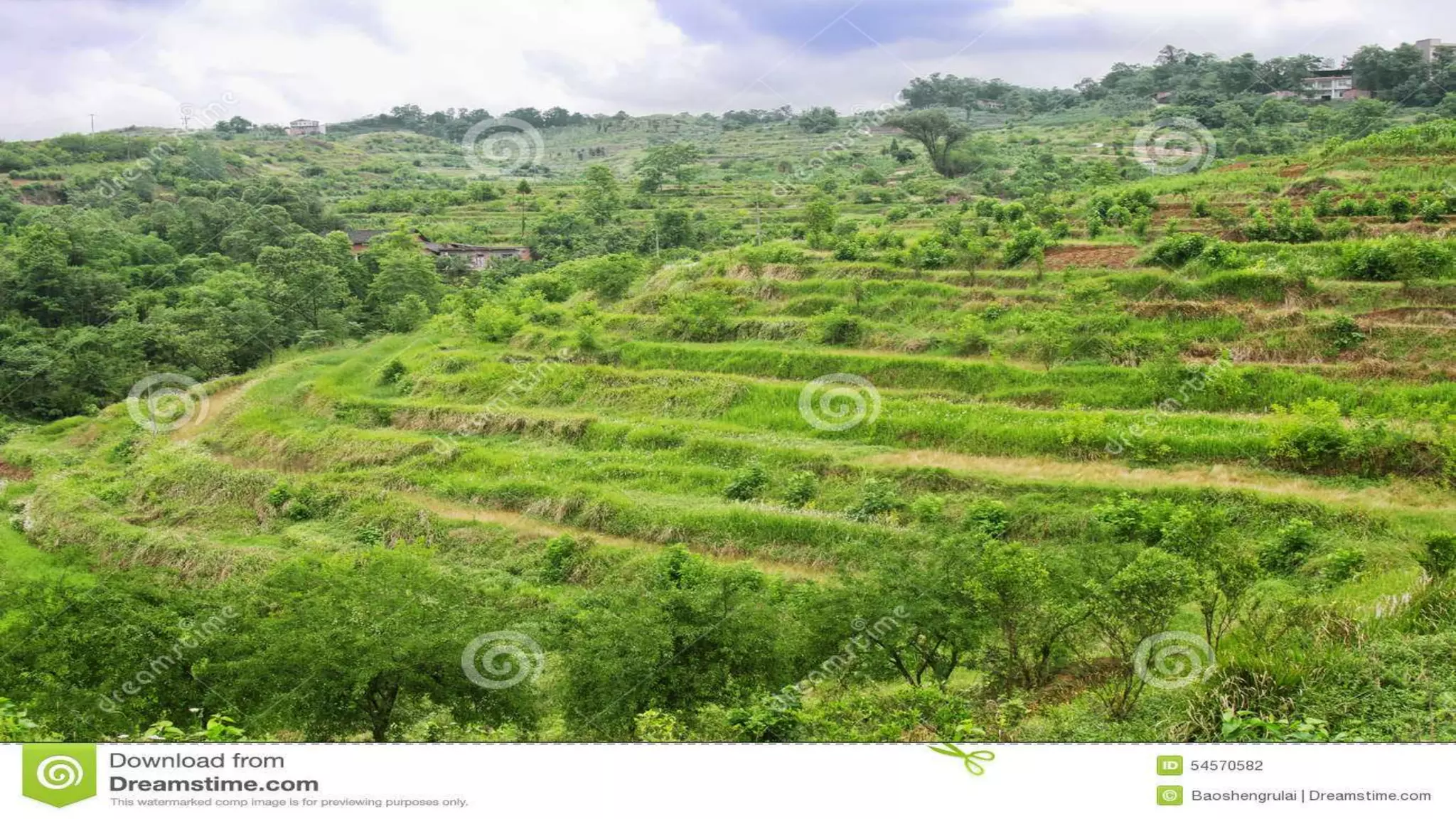 Bench terracing | PPTX