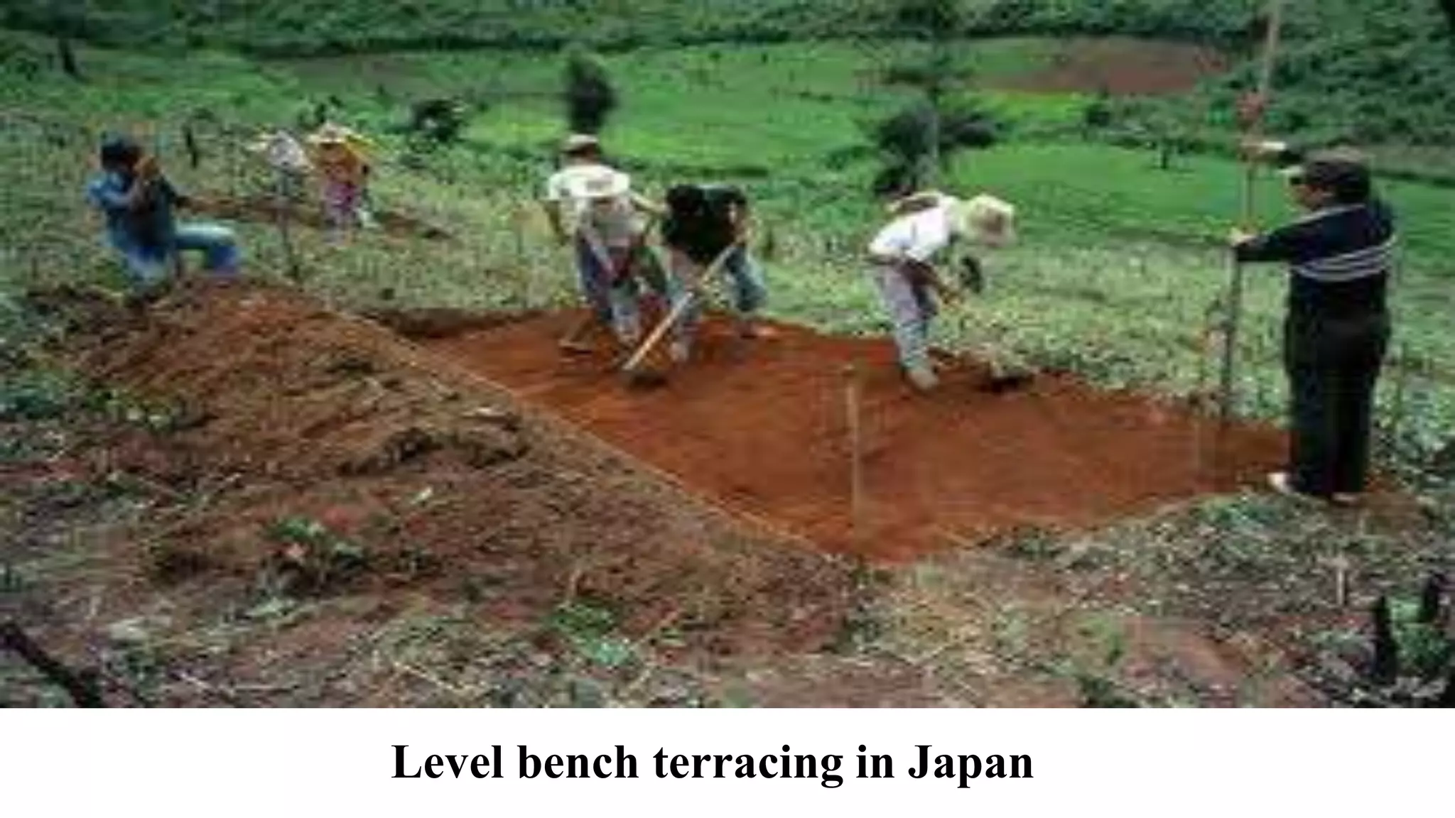 Bench terracing | PPTX