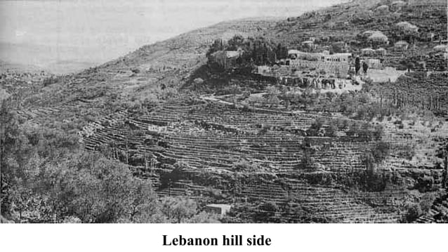 Bench terracing | PPTX