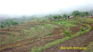 Bench Terracing Soil Conservation