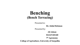 Bench Terracing