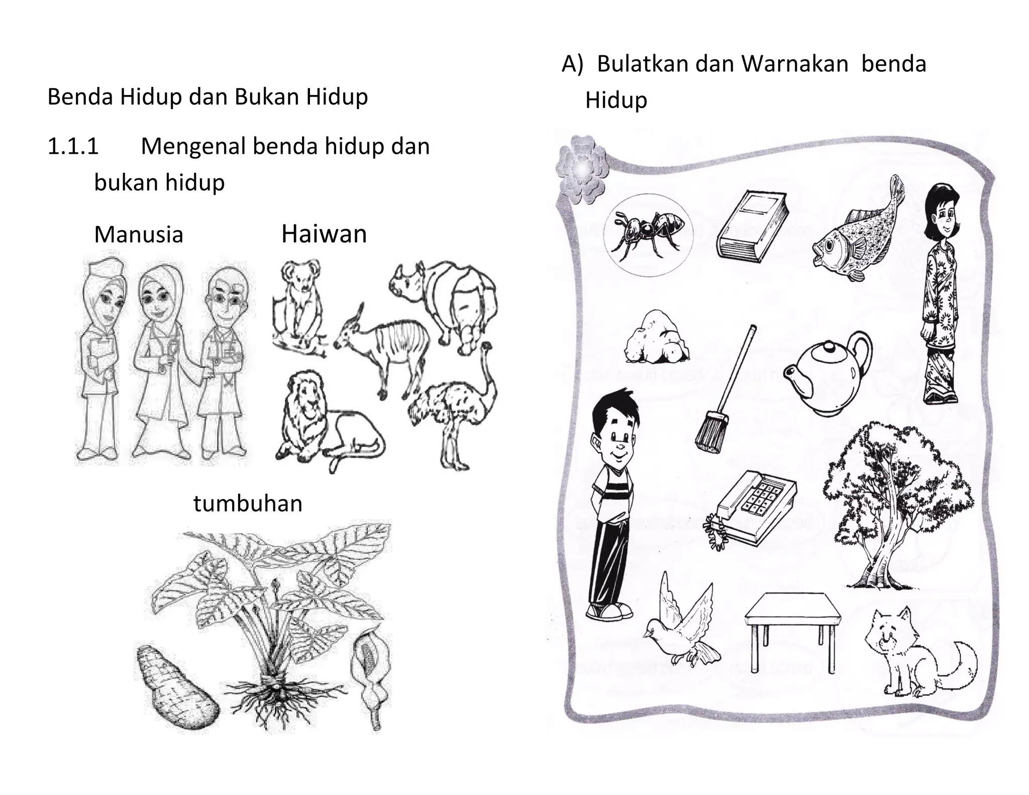 Benda hidup dan bukan hidup | DOC