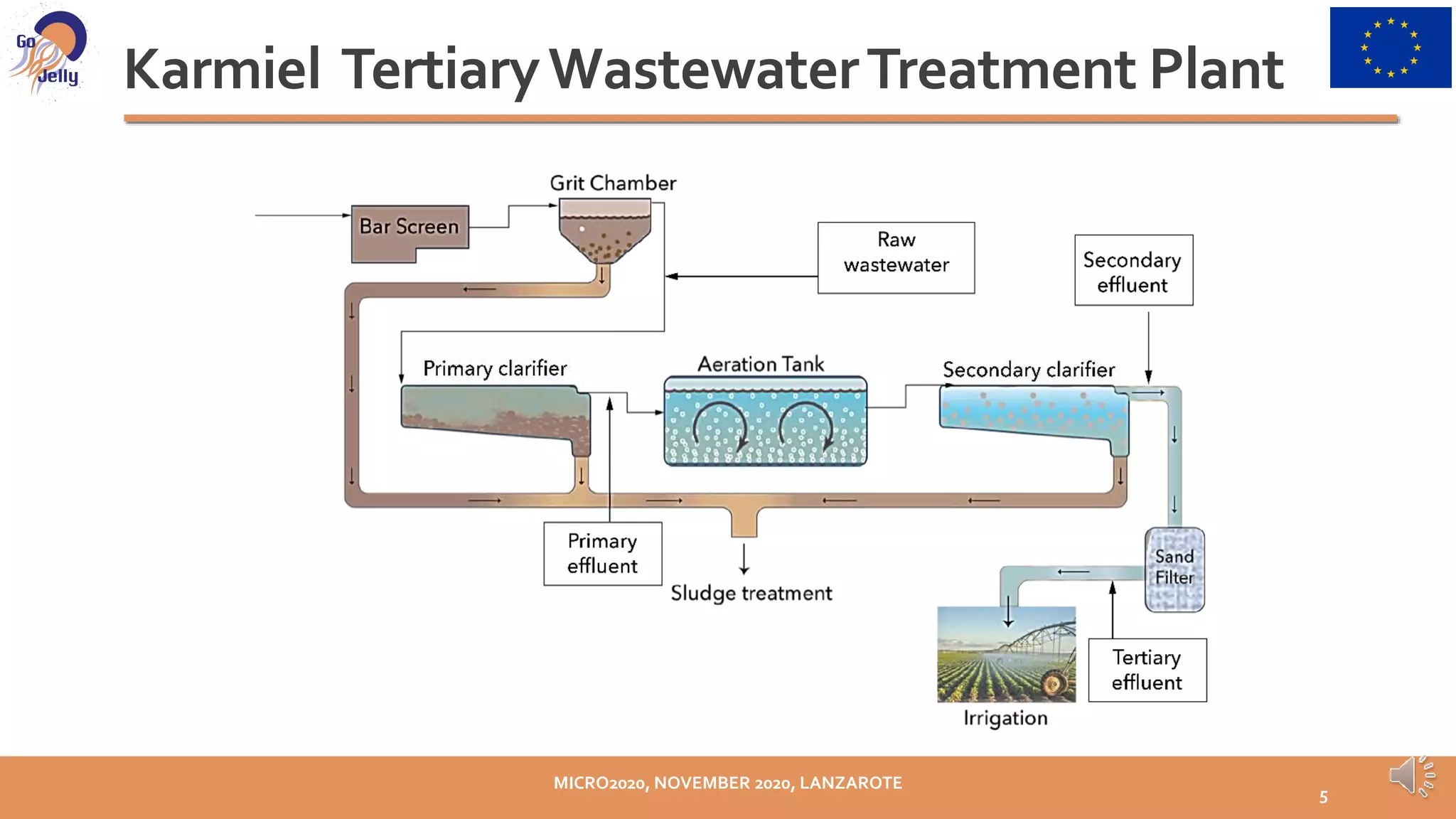 Microplastic distributions in a domestic wastewater treatment plant ...
