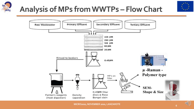 Microplastic distributions in a domestic wastewater treatment plant ...