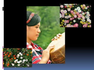 Bendian (Philippine Folk Dance) | PPTX