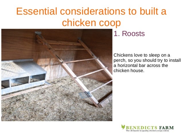 My Chicken Coop Checklist