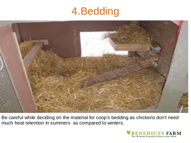 My Chicken Coop Checklist