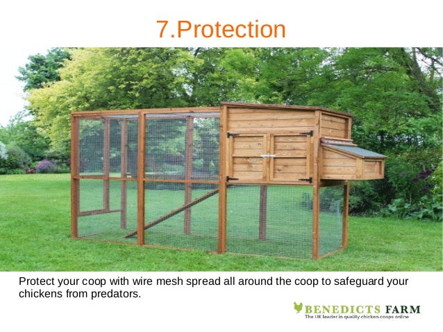 My Chicken Coop Checklist