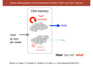 Prof. Benedict Seddon (University College London) - Data-driven systems ...