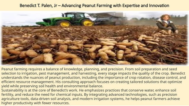 Benedict T. Palen, Jr – Advancing Peanut Farming with Expertise and ...