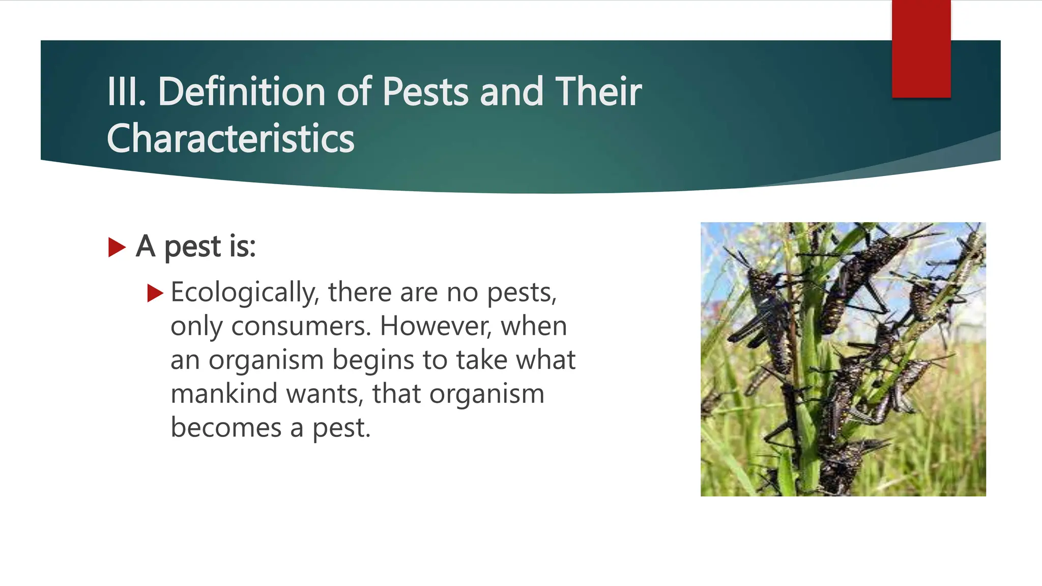 BENEFECIAL-ARTHROPODS-AND-MICROORGANISMS.pptx