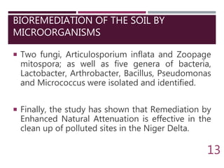 Beneficial and harmful effects of microorganisms | PPTX