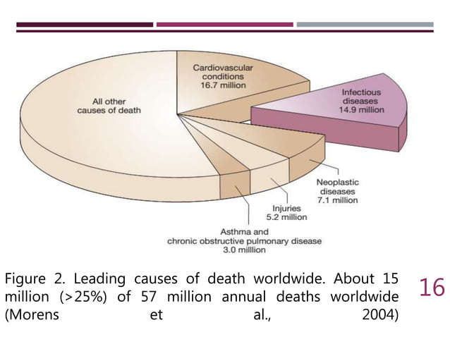 Beneficial and harmful effects of microorganisms | PPTX