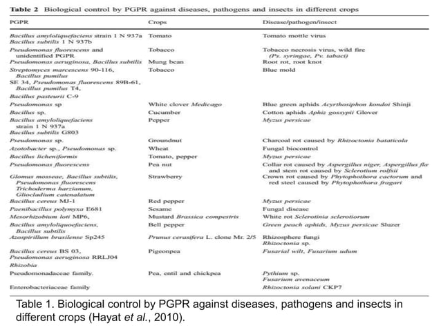 Beneficial and harmful effects of microorganisms | PPTX