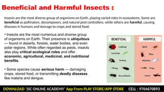 Beneficial and harmful insects including insect vectors of human ...
