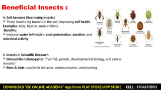 Beneficial and harmful insects including insect vectors of human ...
