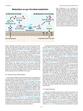 Beneficial effects of Bifidobacterium longum subsp. longum BB536 on human.pdf