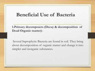 Beneficial & harmful use of bacteria | PPT | Gardening | Home & Garden