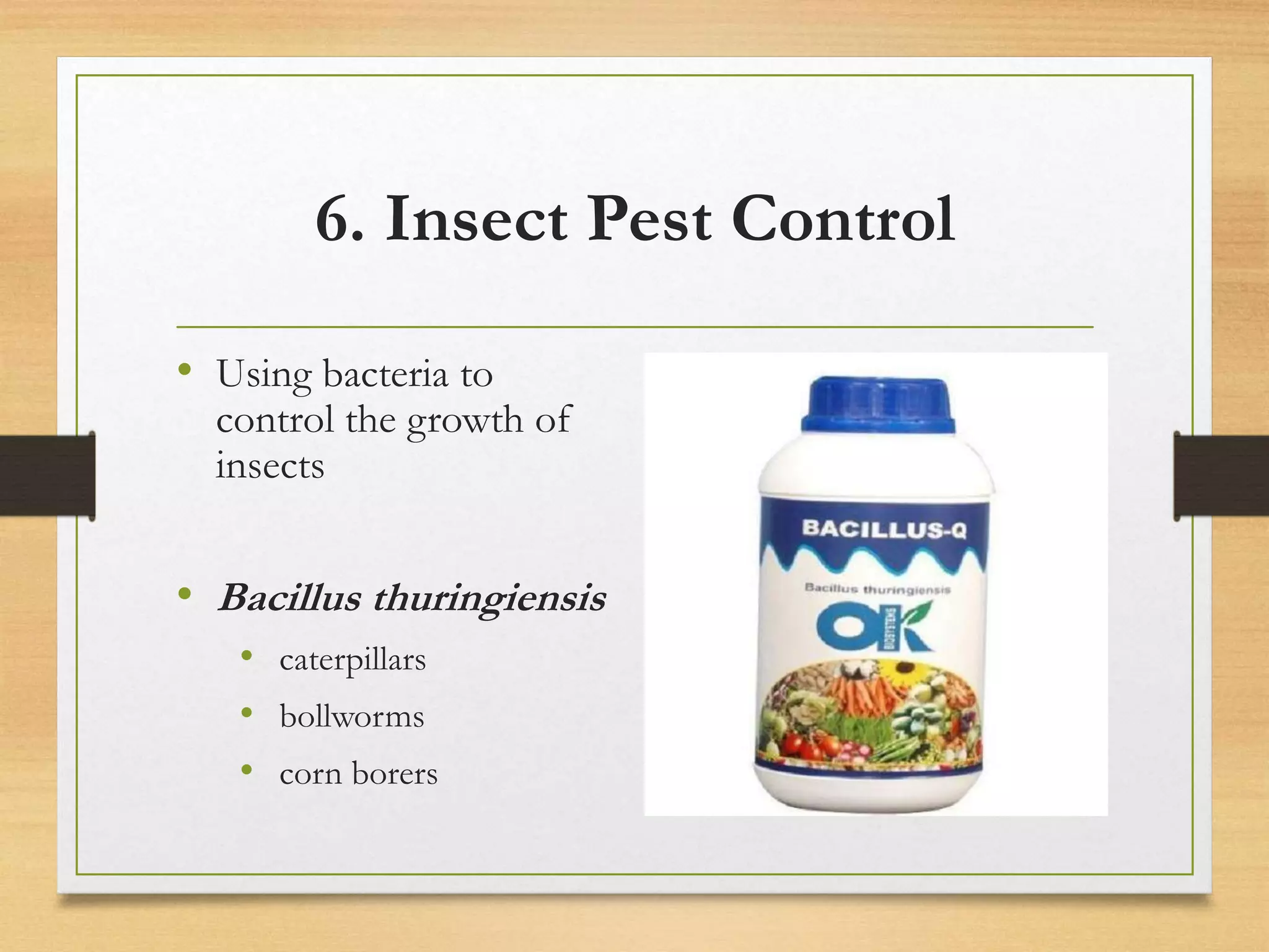 Beneficial & harmful use of bacteria | PPT