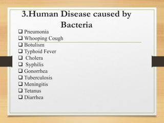 Beneficial & harmful use of bacteria | PPT