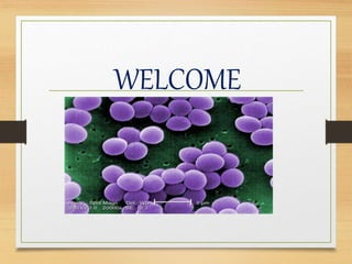 Beneficial & harmful use of bacteria | PPT