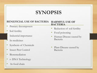 Beneficial & harmful use of bacteria | PPT