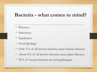 Beneficial & harmful use of bacteria | PPT