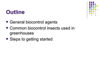 Introduction Biocontrol Insects For Greenhouses | PPT