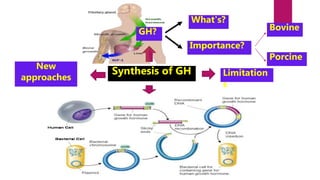 Beneficial Microbes: Health or Hazard? | PPT | Free Download