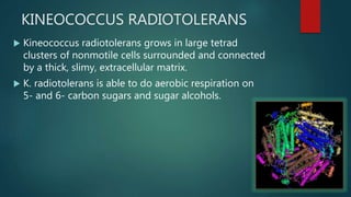 BENEFICIAL MICROBES. PPT.pptx