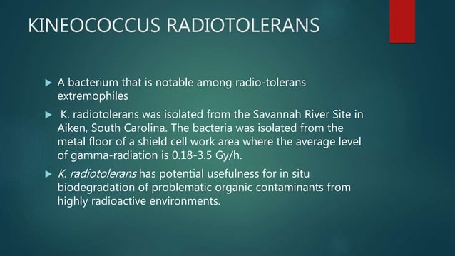 BENEFICIAL MICROBES. PPT.pptx