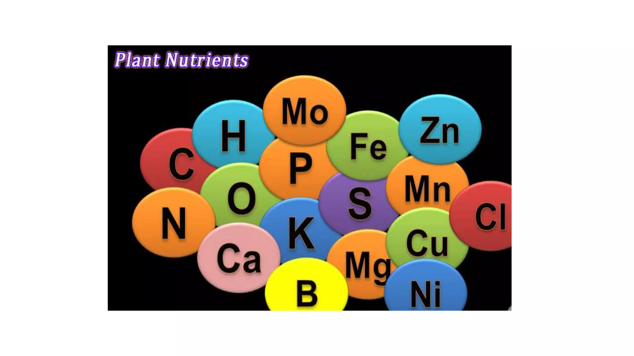 Beneficial nutrient elements (Plant Physiology) | PPTX