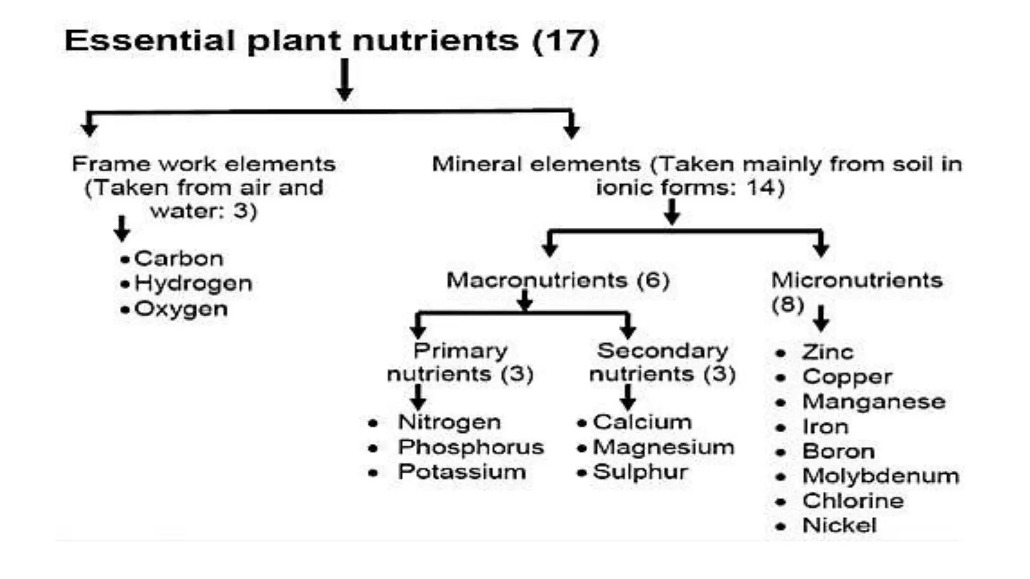 Beneficial nutrient elements (Plant Physiology) | PPTX