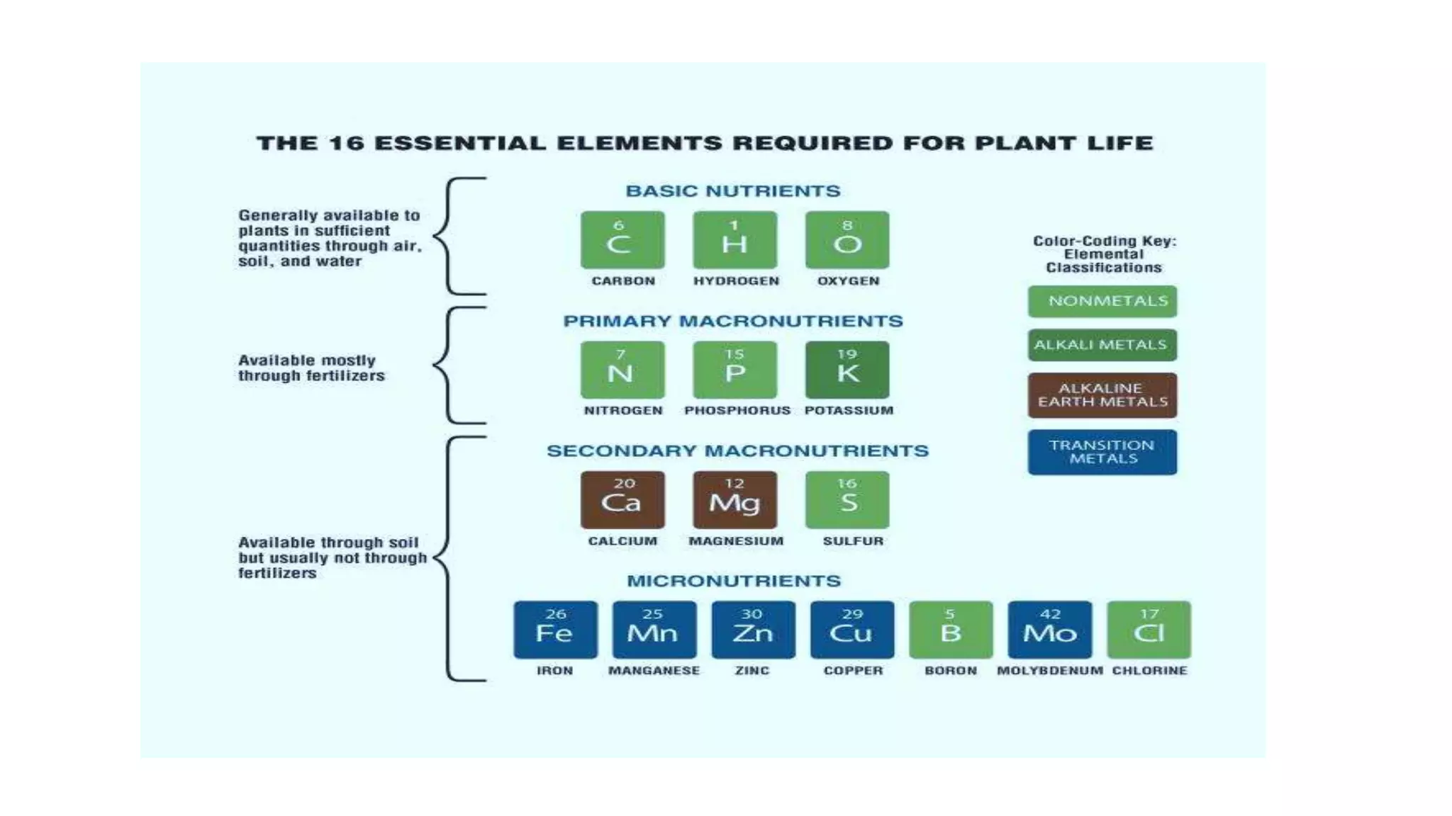 Beneficial nutrient elements (Plant Physiology) | PPTX