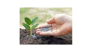 Beneficial nutrient elements (Plant Physiology) | PPTX
