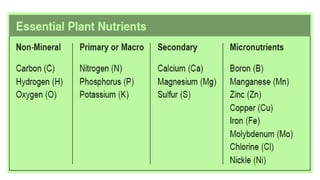 Beneficial nutrient elements (Plant Physiology) | PPTX
