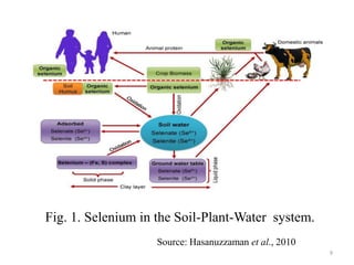 Beneficial role of selenium in plants | PPTX