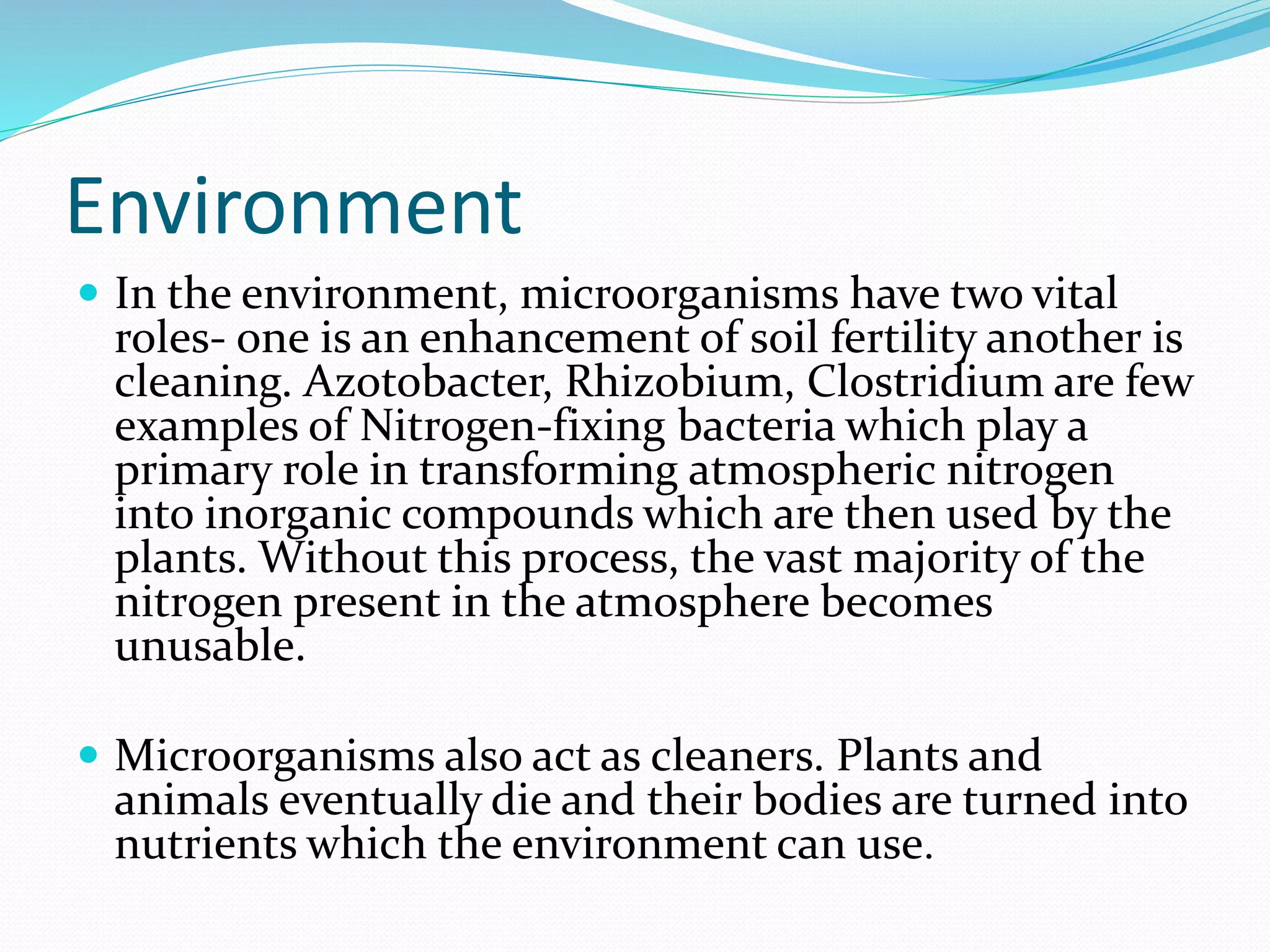 Beneficial roles of microorganisms_093131.pptx