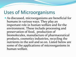Beneficial roles of microorganisms_093131.pptx | Biological Sciences ...