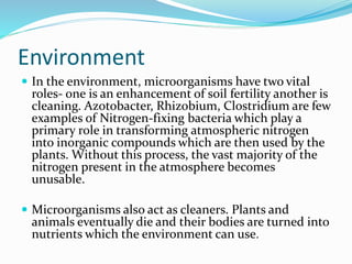 Beneficial roles of microorganisms_093131.pptx | Biological Sciences ...