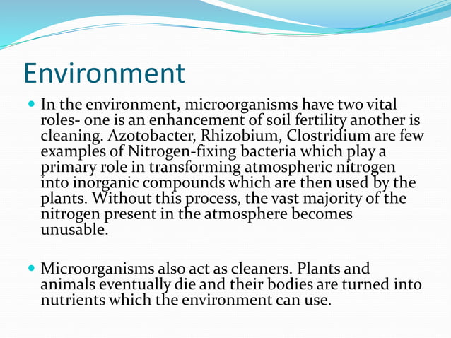 Beneficial roles of microorganisms_093131.pptx