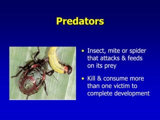 beneficials insects and types of parasitoids.ppt