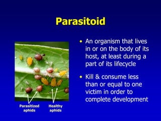 beneficials insects and types of parasitoids.ppt