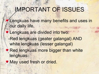 Benefits Of Lengkuas | PPT